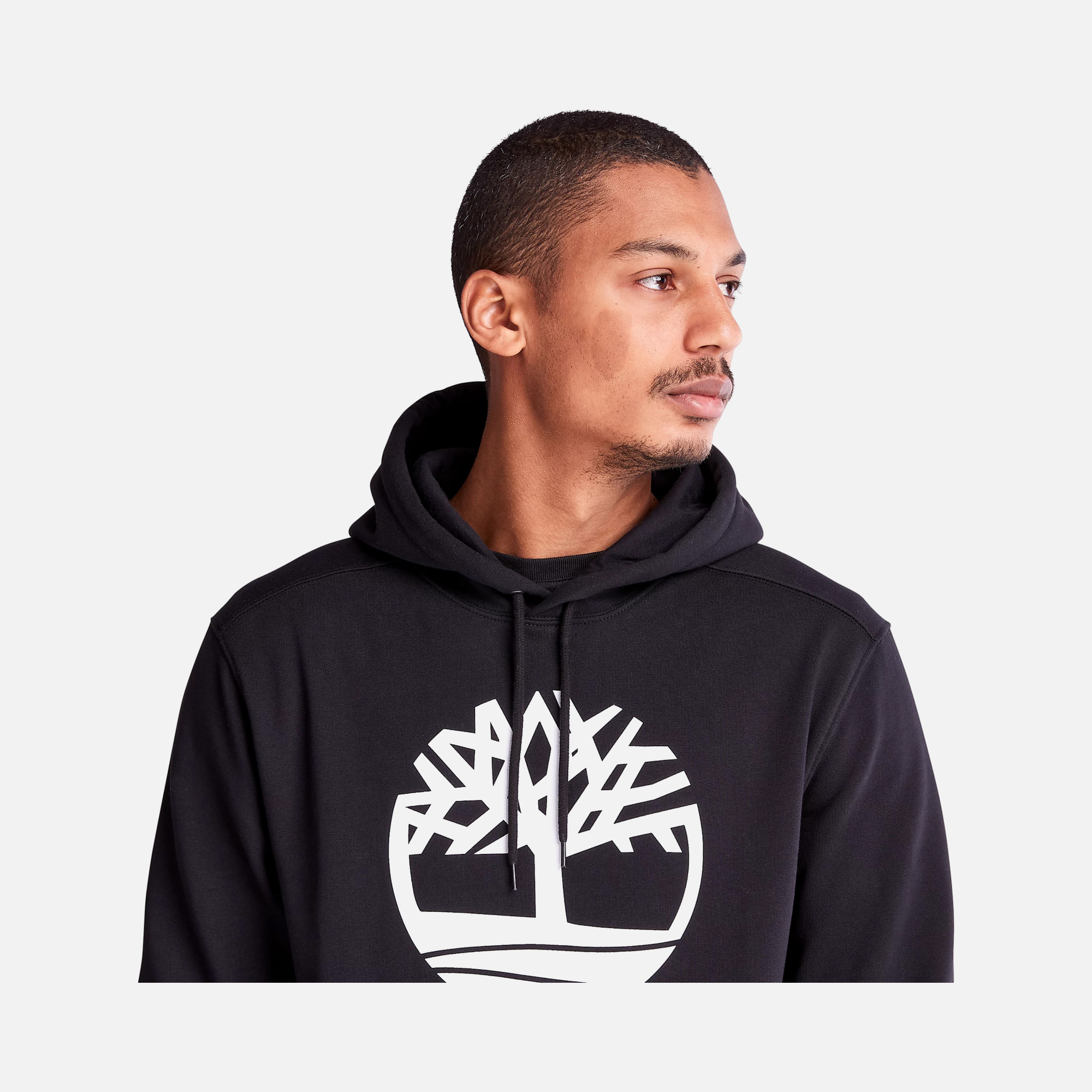 Timberland Core Tree Logo Graphic Pullover Hoodie Erkek Sweatshirt | Barçın